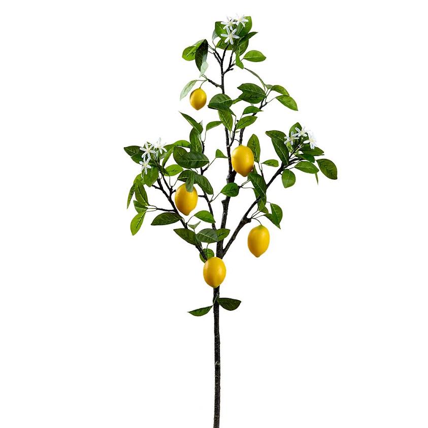 Box of 4 Tall Lemon Tree Branch Stems