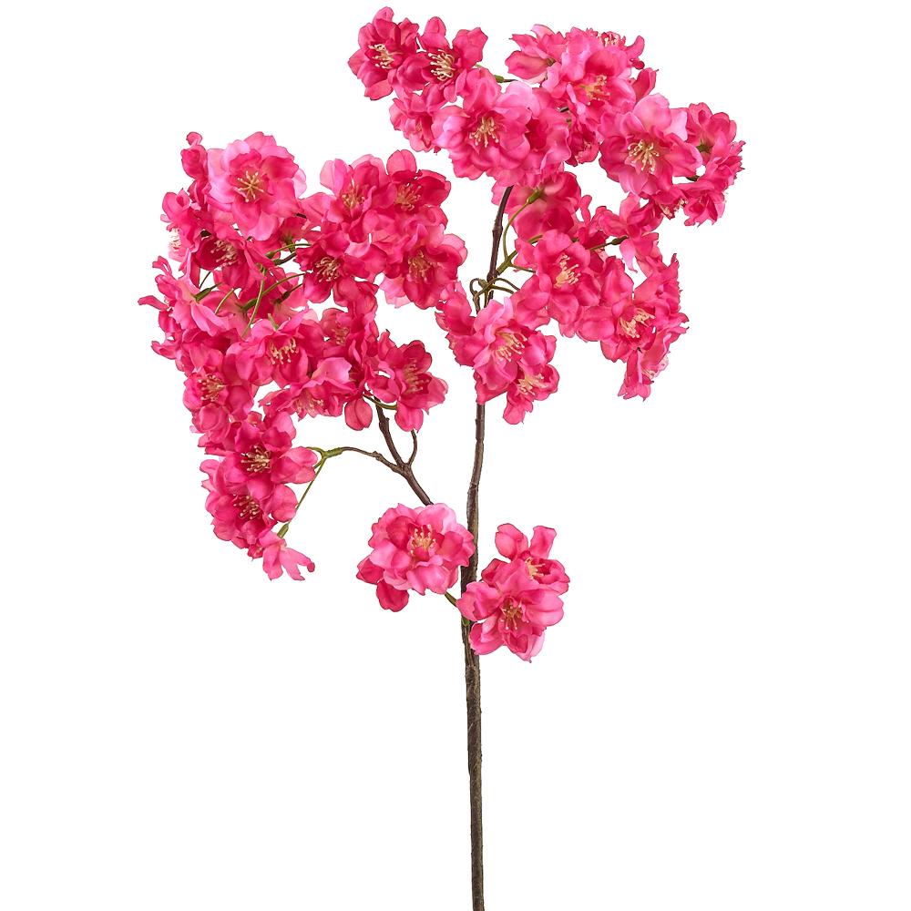 Box of 8 Fuchsia Cherry Blossom Stems